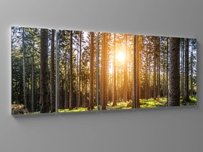 Liox Obraz ráno v lese Rozměr: 150 x 60 cm