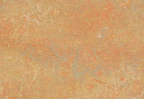 FORBO MARMOLEUM HOME TL. 2.5 MM - H42 ŠÍŘKA: 2 m