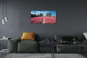 Obrazy na plátně Terénu prales vřesy 120x60 cm