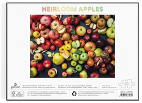 Galison Puzzle Odrůdy jablek 1000 dílků