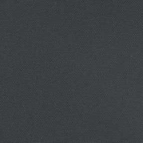 Zatahovací boční markýza černá 120 x 1 000 cm,  4004699