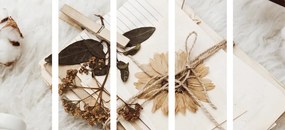 5-dílný obraz sbírka starých listů - 100x50 cm