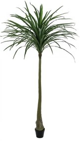 Umělá květina - Dracena zelená, 220 cm