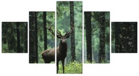 Obraz - Jelen v hlubokém lese (125x70 cm)
