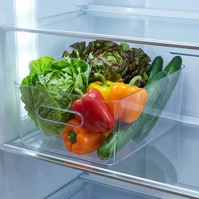 SMARTSTORE Organizér CompactClear, 15,4l (L), 41 x 29 x 15,5 cm