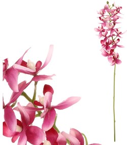 Orchidea drobnokvětá, fialová barva UKK313-LILA