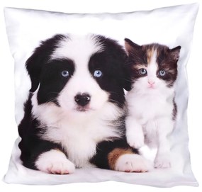 Fotonávlek, Štěně a bílé koťátko, 40 x 40 cm
