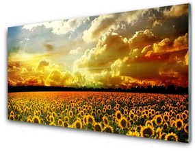 Plexisklo-obraz Pole Slunečnic Krajina 120x60 cm