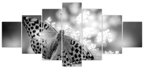 Obraz - Detail motýla opylující květ (210x100 cm)