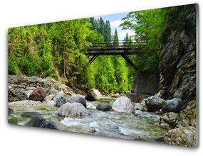 Obraz na skle Dřevěný Most v Lese 140x70 cm