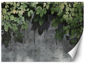 Gario Fototapeta Zelené listy na betonovém pozadí Materiál: Vliesová, Rozměry: 200 x 140 cm