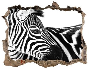 Wallmuralia Díra 3D fototapeta nálepka Zebra na sněhu 95x64 cm