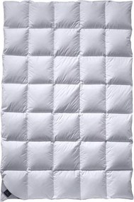 XXXLutz CELOROČNÍ PŘIKRÝVKA, 140/220 cm, prachové peří Billerbeck - Přikrývky - 003279008302