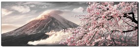 Obraz na plátně - Hora Fuji a třešňové květiny na jaře- panoráma 5266QA (105x35 cm)