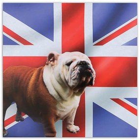 Obraz na plátně Bulldog Dog Anglická vlajka - 50x50 cm