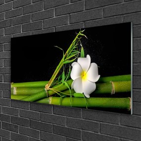 Obraz na skle Bambus Květ Rostlina 125x50 cm