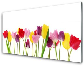 akrylový obraz Tulipány Květiny Rostlina 140x70 cm
