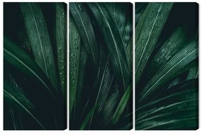 Vícedílný obraz Tmavě Zelené Listy Na Makro Stupnici Nedostatek Nedostatek Plátno Canvas 120x80