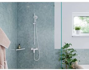Hansgrohe Raindance Select S Ruční sprcha 12,5 cm, s EcoSmart, bílá matná 26531700