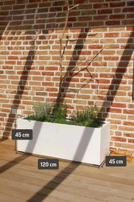 Truhlík MAXI, sklolaminát, šířka 120 cm, bílý mat, outlet