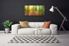 Obraz na plátně Slunce Příroda Lesní Stezka 120x60 cm