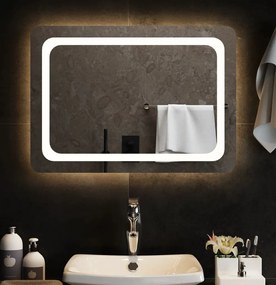 vidaXL Koupelnové zrcadlo s LED osvětlením 70x50 cm [151784]