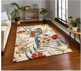 Koberec Think Rugs Tropics Parejo Cream & Multi, 120 x 170 cm