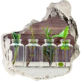 Wallmuralia Samolepící nálepka Rostliny ve sklenicích 75x75 cm