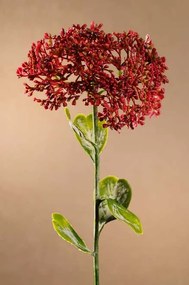 Paramit FULL BLOOM SEDUM Aranžovací květina vínová 46 cm