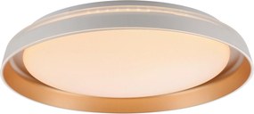 XXXLutz STROPNÍ LED SVÍTIDLO, 43/43/8,5 cm - Stropní svítidla - 006930080301