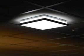 Sapho Sapho, SILVER stropní LED svítilna, průměr 29cm, 10W, 230V, 3000K/4000K/6500K, IP44, chrom, AU480