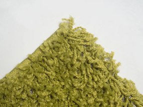 Mono Carpet, Kusový koberec Efor Shaggy 1903 Green, 80x150, zelená, ložnice