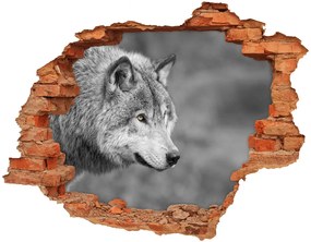 Wallmuralia Díra 3D fototapeta na stěnu Šedý vlk 90x70 cm