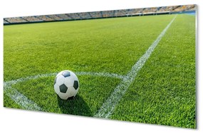 Obraz na skle Fotbalový stadion trávy 140x70 cm