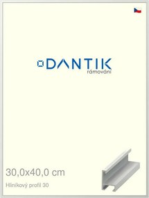 DANTIK rámeček 30x40 | ALU profil 6030 Bílá matná (Plexi Čiré)
