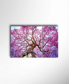 Malvis ® Obraz Rozkvetlý strom s růžovými květy ROZMĚR (šířka x výška): třídílný obdélník 150x60 cm