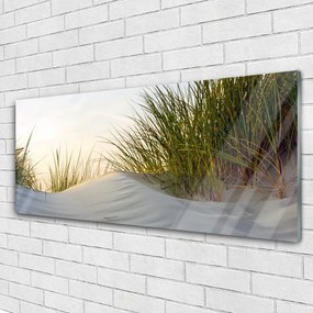 akrylový obraz Písek Tráva Krajina 125x50 cm