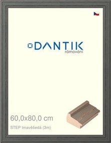 DANTIK rámeček 60x80 | STEP tmavěšedá (Plexi Čiré)