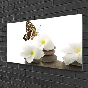 Obraz na skle Motýl Květ Kameny Rostlina 100x50 cm