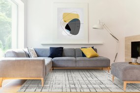 Tribeca Design Kusový koberec Dinamo Grid Grey Rozměry: 200x290 cm