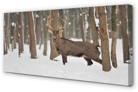 Obrazy na plátně Jelen zimní les 120x60 cm