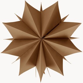 Světelná dekorace Polaris Star