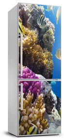 Wallmuralia Nálepka fototapeta lednička Korálový útes XL 60x180 cm