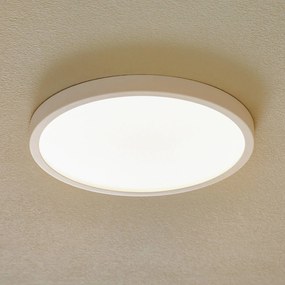 LED stropní svítidlo Vika, kulaté, bílá, Ø 30cm