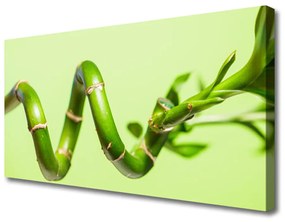Obraz na plátně Bambus Rostlina Příroda 100x50 cm