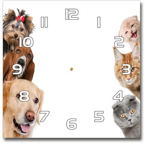 Wallmuralia Skleněné hodiny čtverec Psi a kočky 30x30 cm