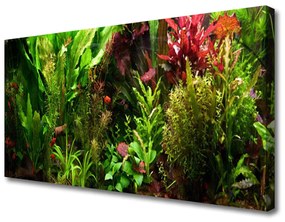 Obraz na plátně Rostlina Květiny Příroda 125x50 cm