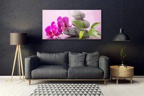 Plexisklo-obraz Květ Kameny Zen Rostlina 120x60 cm