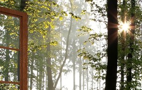 3D obraz dřevěné okno do lesa Velikost (šířka x výška): 150x100 cm