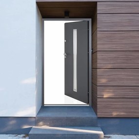 vidaXL Vchodové dveře 110 x 207,5 cm hliník [3190528] Barva: antracitová